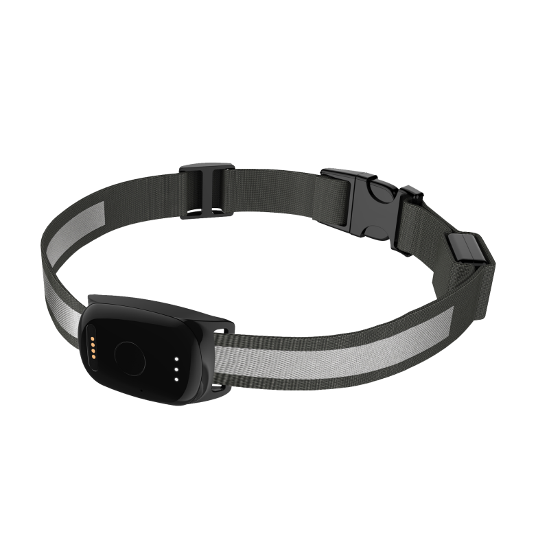 EV-201M GPS Pet Tracker | 4G Anti-Lost Collar for Dogs and Cats